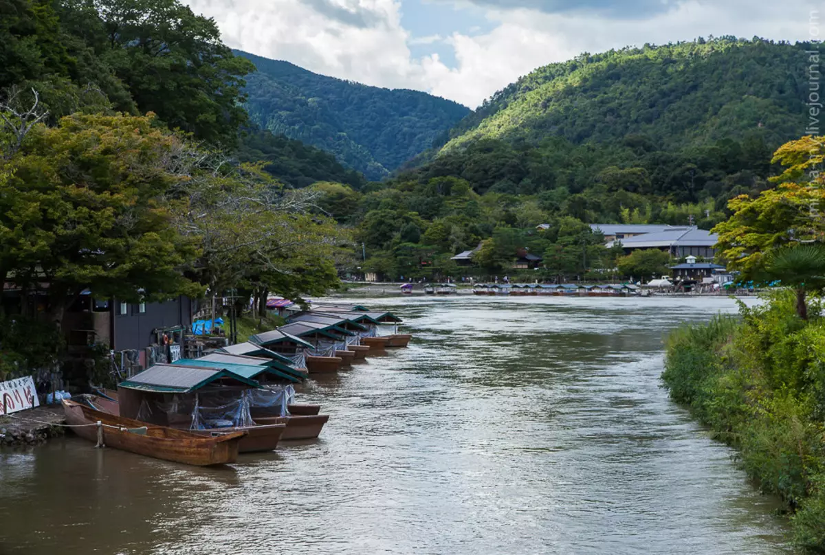 Kyoto. Rừng Tre và Khỉ Công viên 10016_11