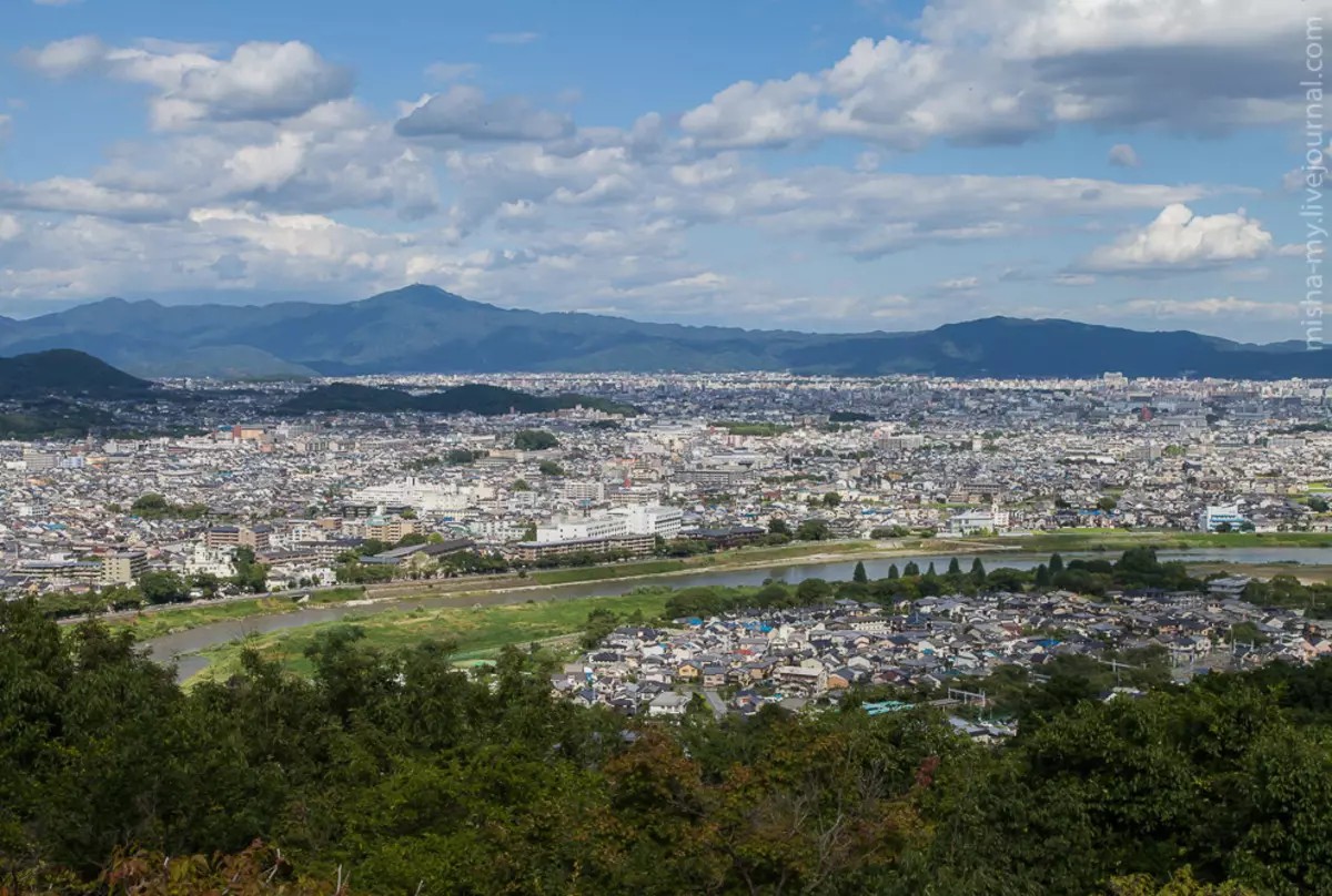 Kyoto. Coedwig Bambŵ a Pharc Mwncïod 10016_17