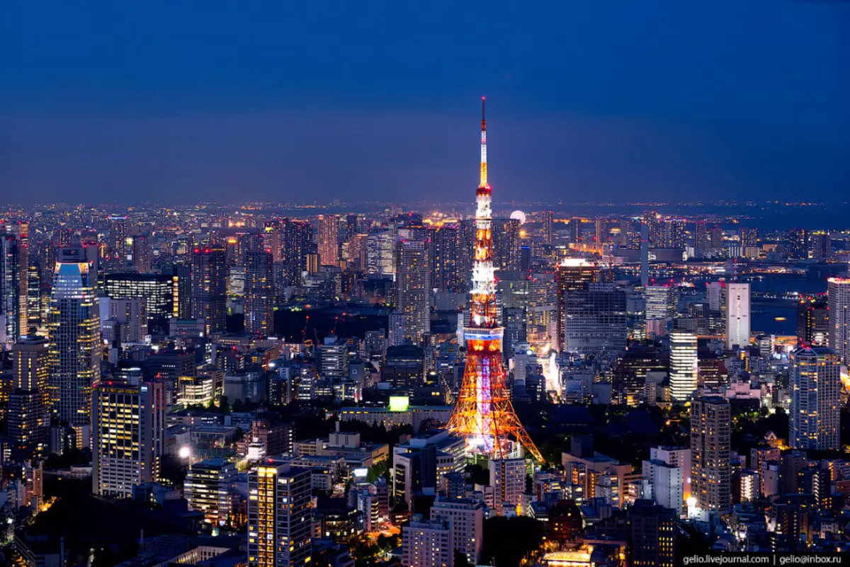 Tokyo from height: how the capital of Japan is arranged 10041_14