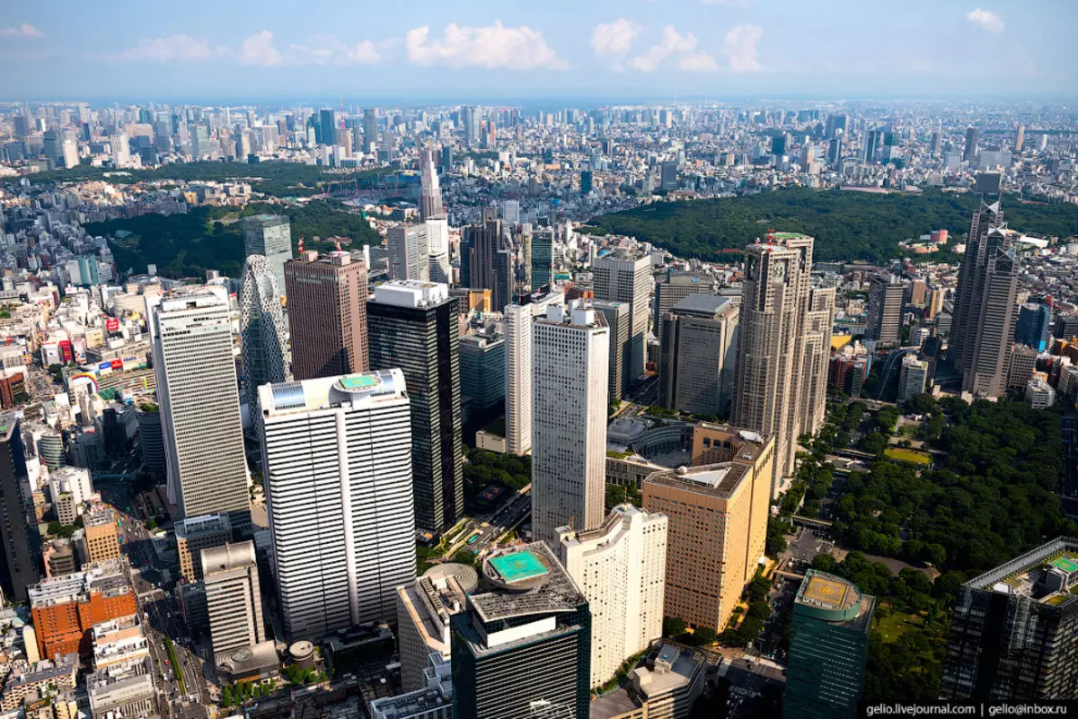 Tokyo from height: how the capital of Japan is arranged 10041_20