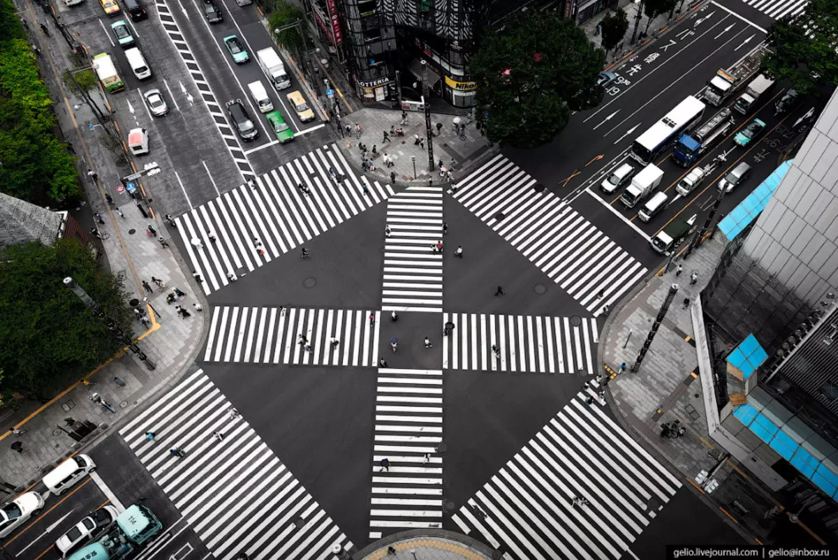 Tokyo from height: how the capital of Japan is arranged 10041_9