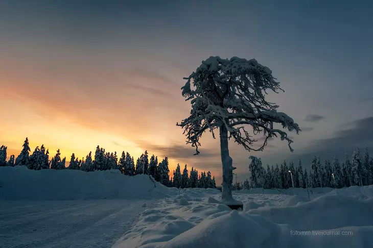 Fantastiske snødekte landskap fra Finland 10071_1