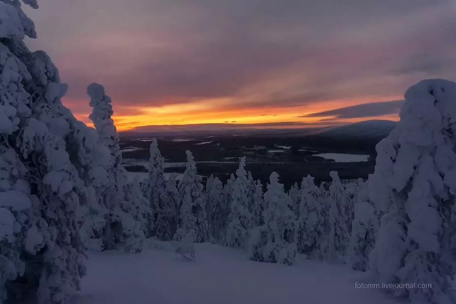 Единаесет