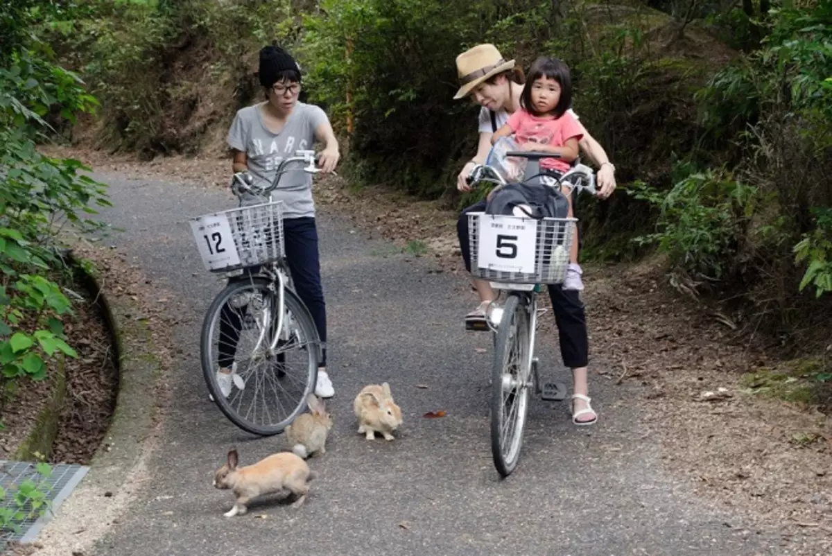 Hare Island i Japan 10201_14