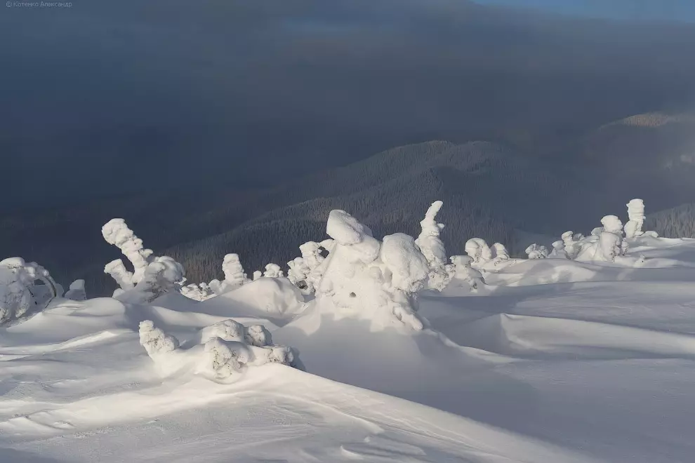 Hiver à gorgana