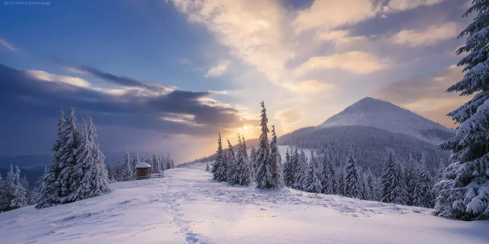 Hiver à gorgana