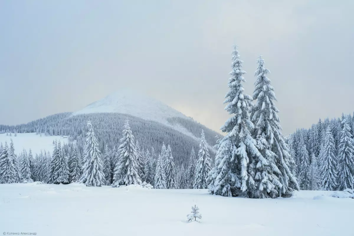 Зіма ў Горганах