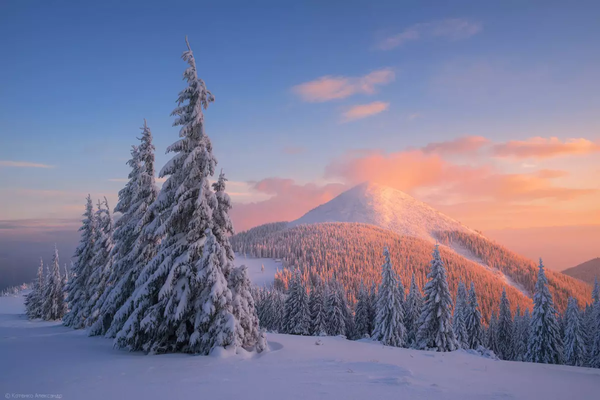 Hiver à gorgana