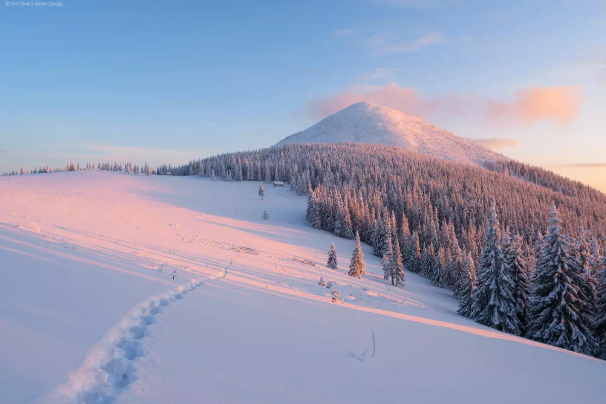 Hiver à gorgana