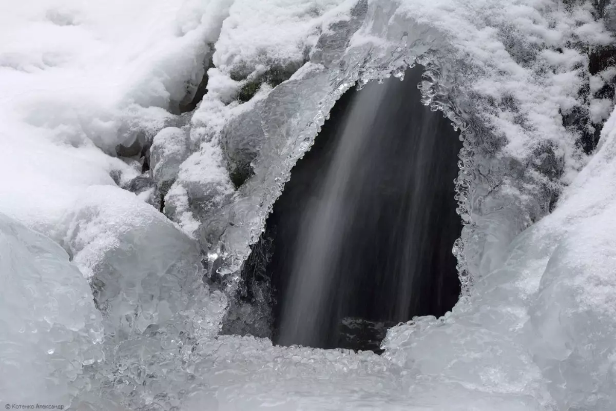 Hiver à gorgana