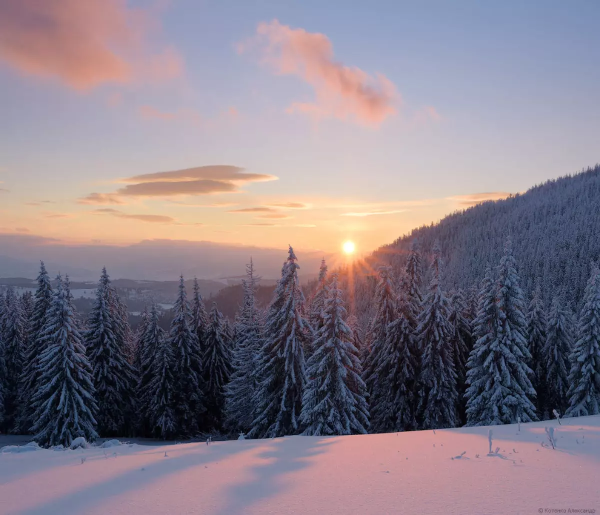 Hiver à gorgana