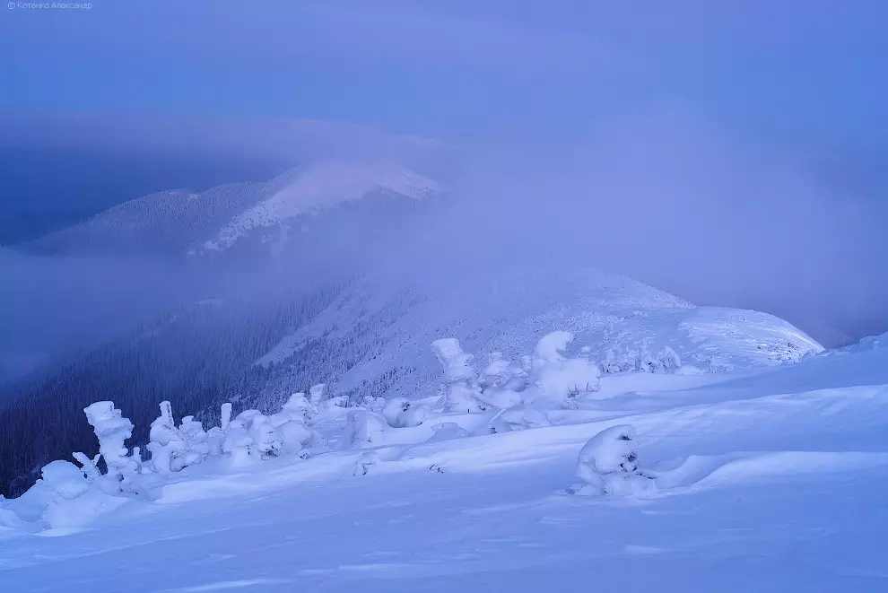 Hiver à gorgana