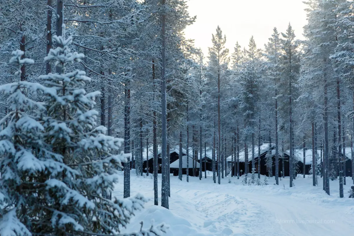 Besøger snedronningen eller hvordan man kommer ind i isen sauna