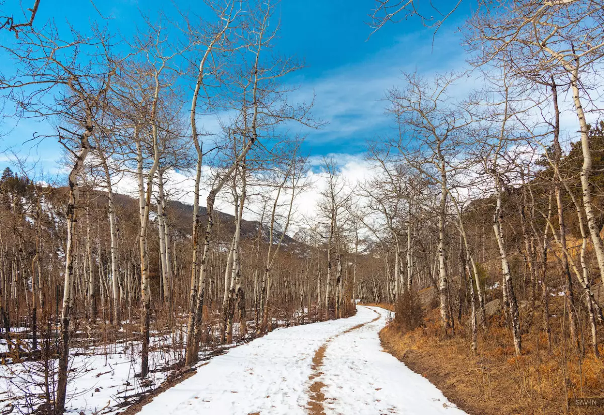 Colorado. Taman Nasional Rocky Mountain