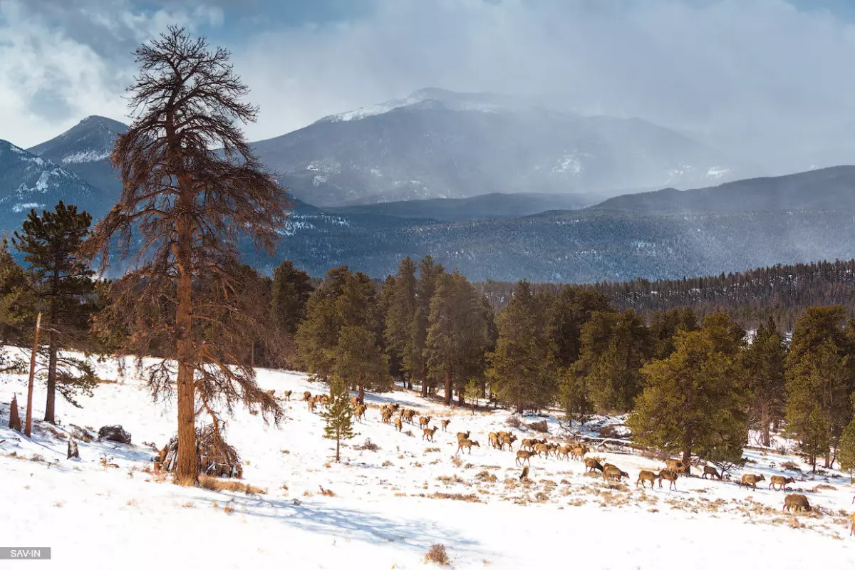 Colorado. Taman Nasional Rocky Mountain