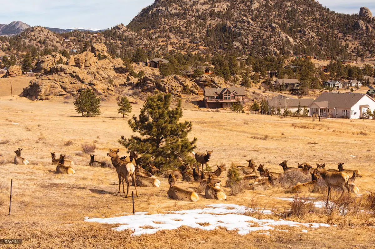 Colorado. Taman Nasional Rocky Mountain