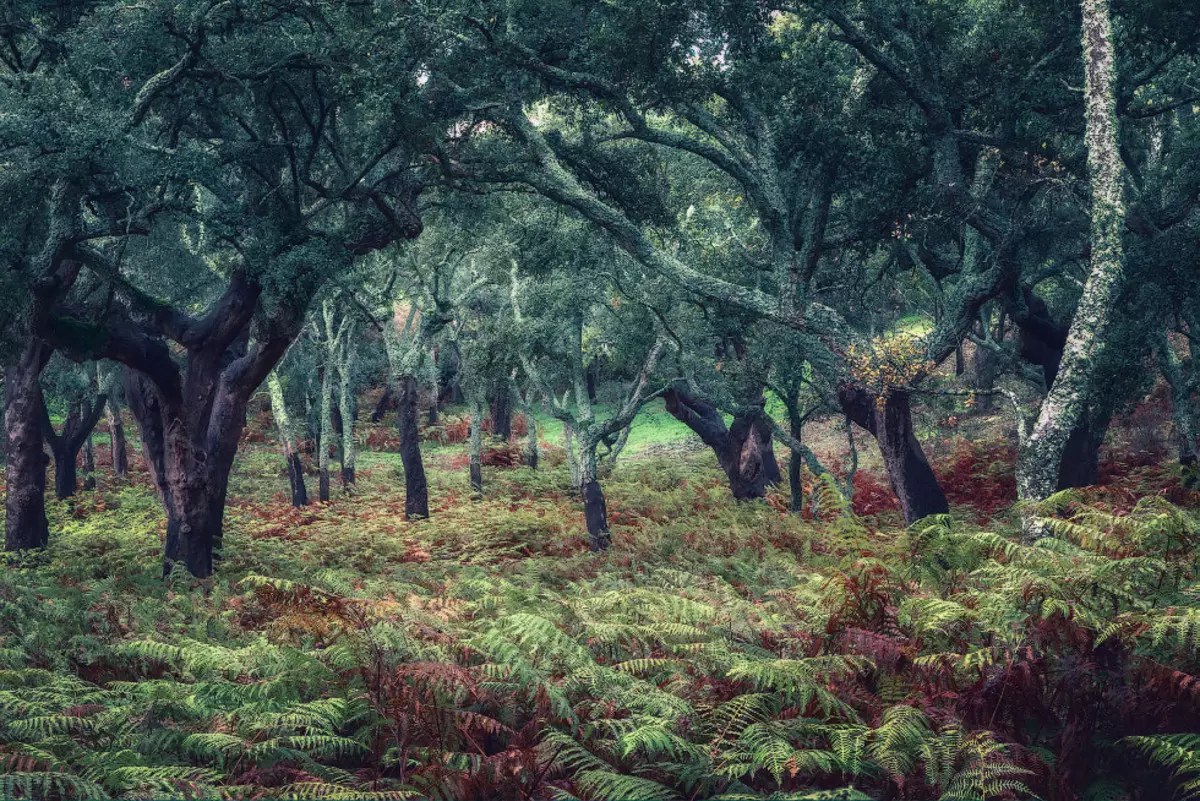 Πορτογαλία: Από το Portwine στην πρωτεύουσα