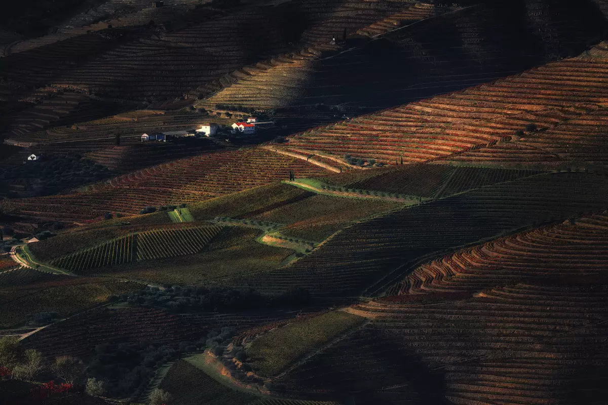 Portugal: Site na Portwine na isi obodo