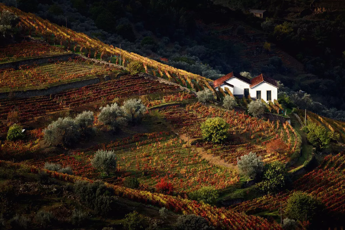 Portugal: Site na Portwine na isi obodo