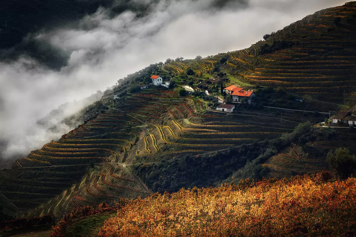 Portugal: Site na Portwine na isi obodo