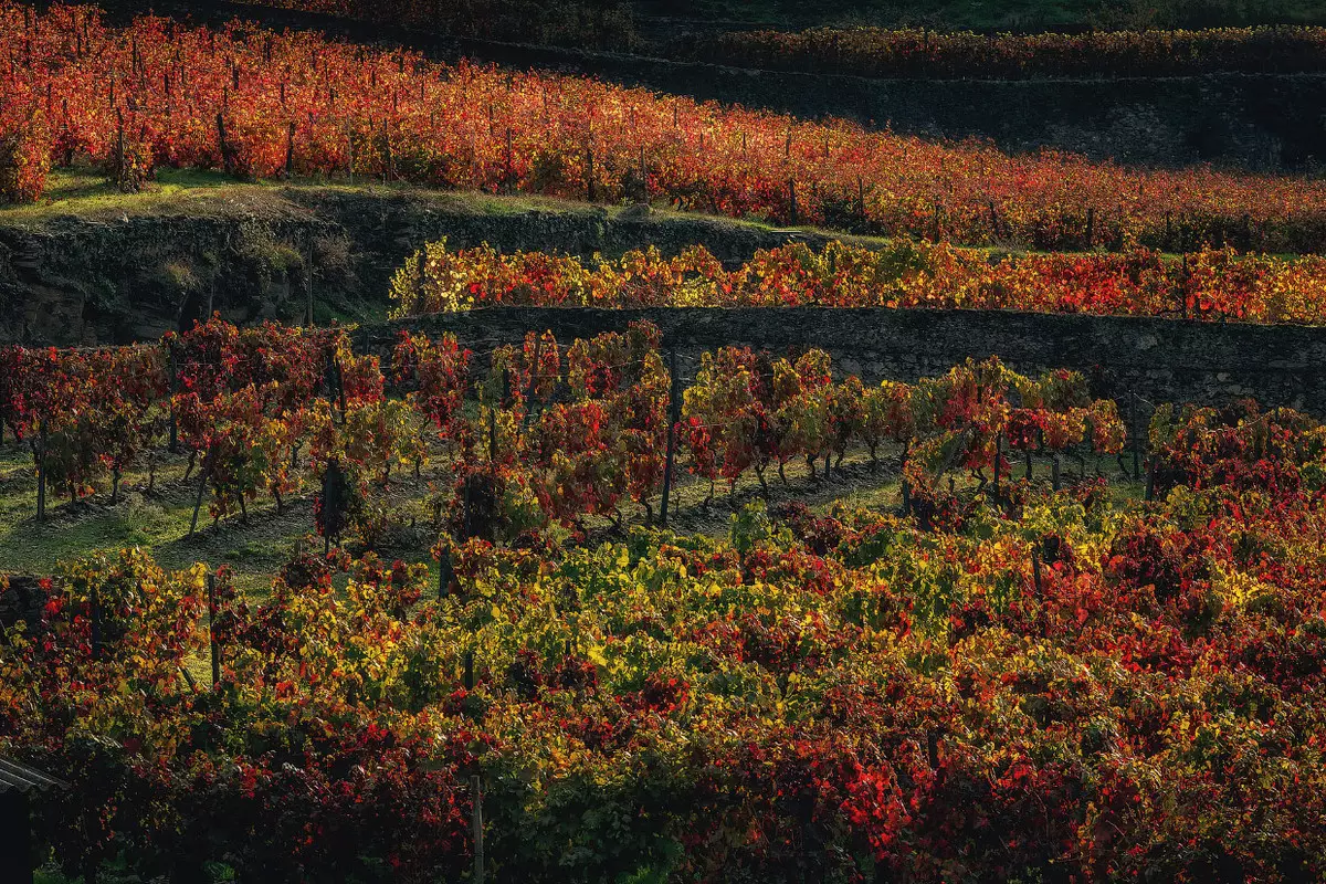 Portugal: Site na Portwine na isi obodo