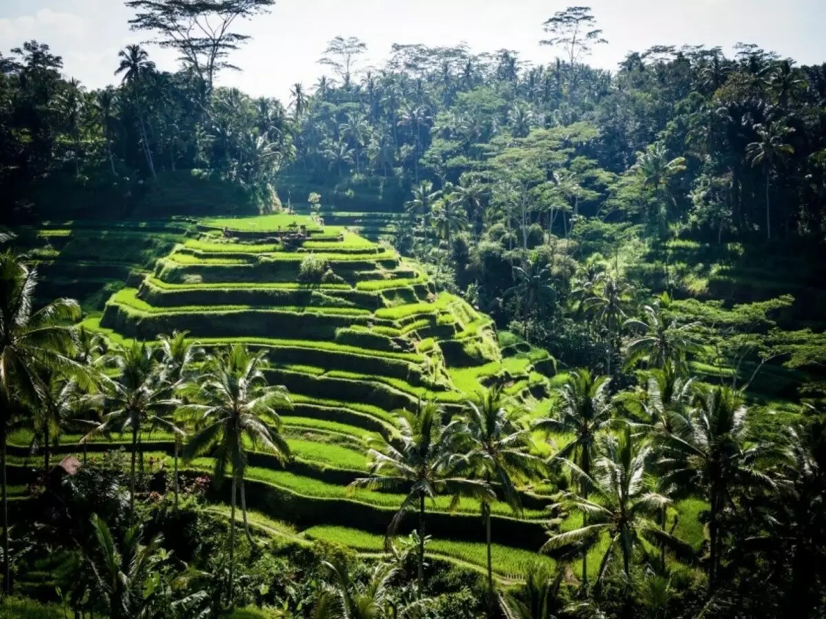 Tempat perjalanan terbaik sahaja 10287_7