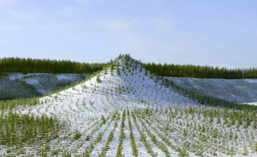 Les forêts les plus fantastiques du monde 10317_5