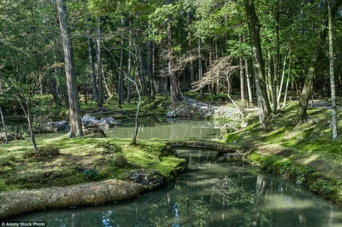 Najkrajšie mestské záhrady sveta 10324_15