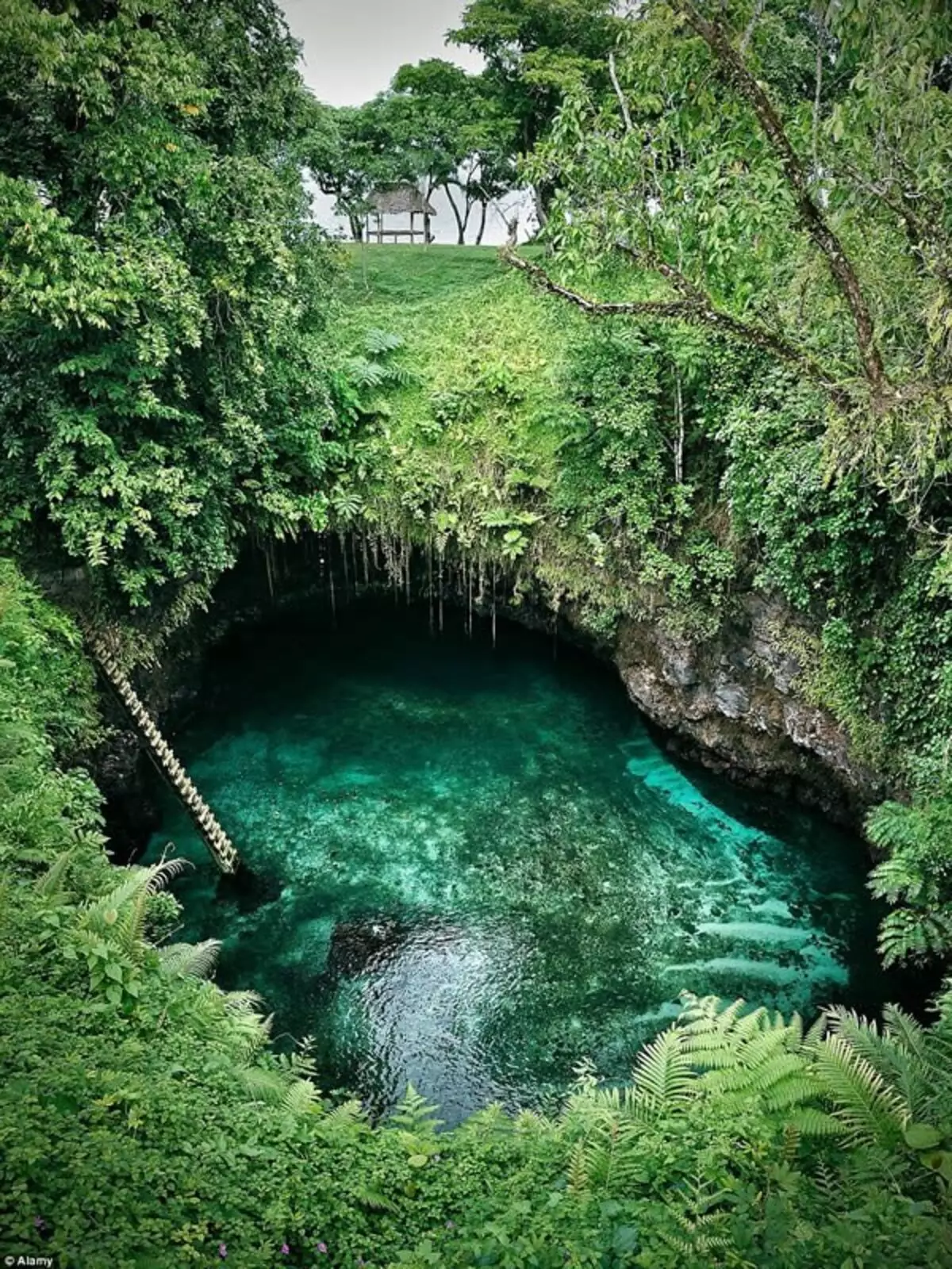 Hindi kapani-paniwala karst funnel kung saan maaari mong lumangoy 10340_3