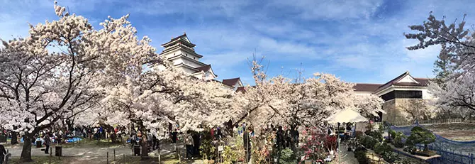 De beste kastelen en tempels van Japan 10440_11