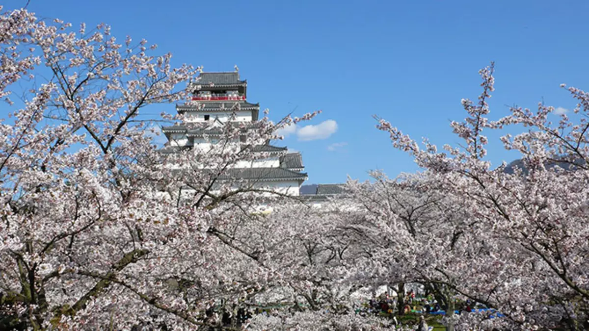 Najlepšie hrady a chrámy Japonska 10440_12