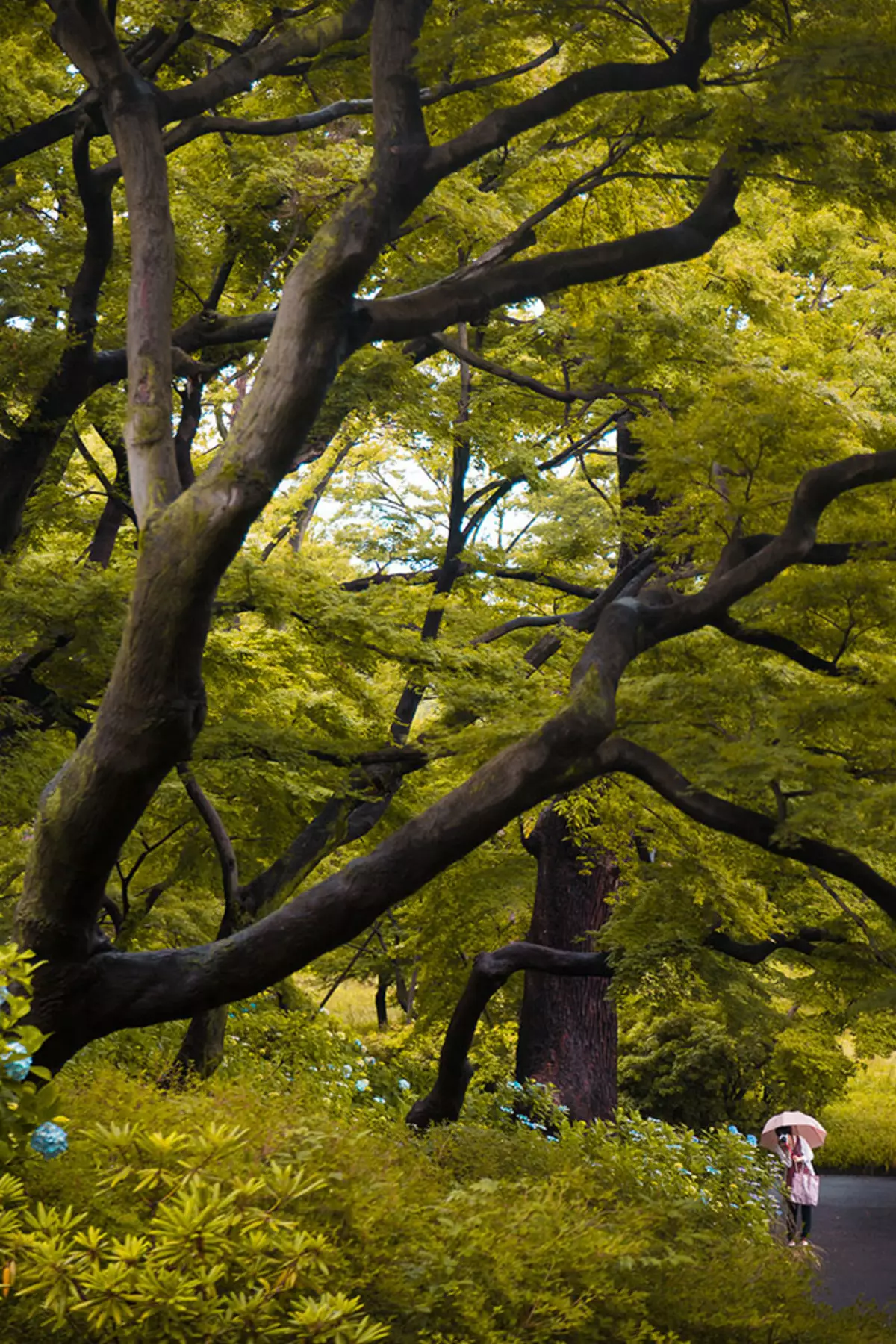 De bedste slotte og templer i Japan 10440_20