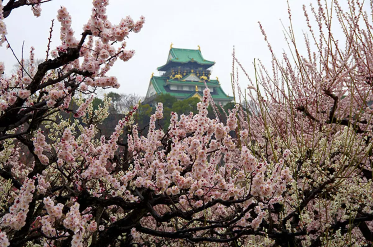 De bedste slotte og templer i Japan 10440_3