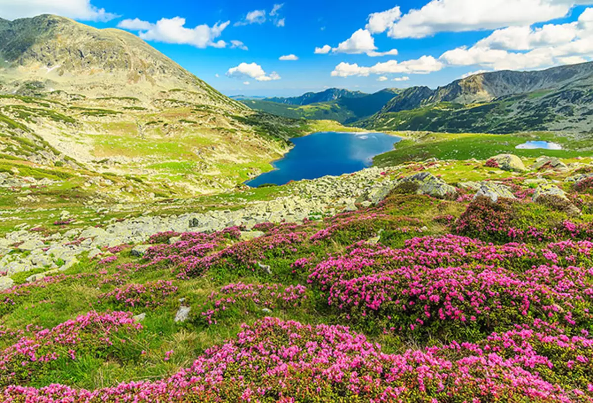 Goede redenen om naar Roemenië te gaan 10447_16