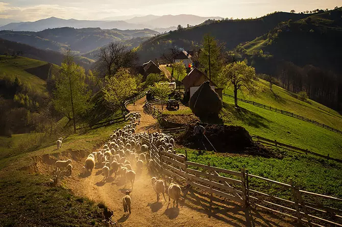 Goede redenen om naar Roemenië te gaan 10447_19