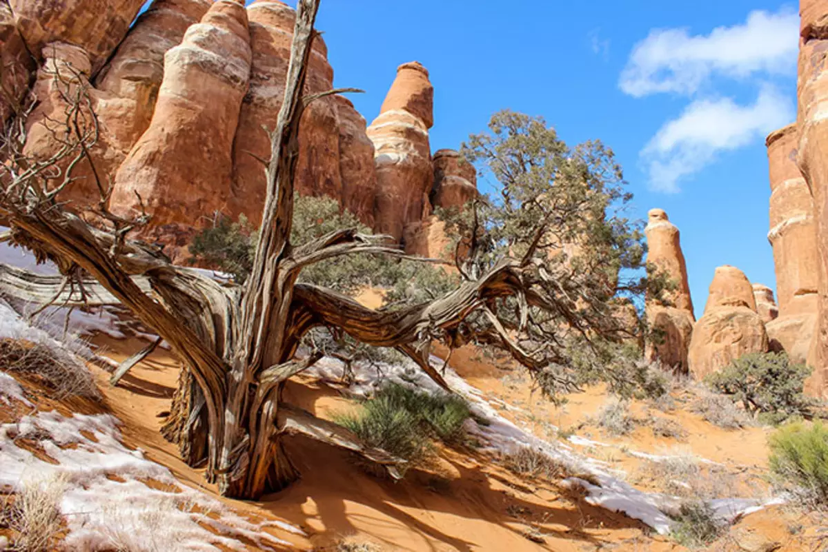 Beauty National Park Arch 10461_17