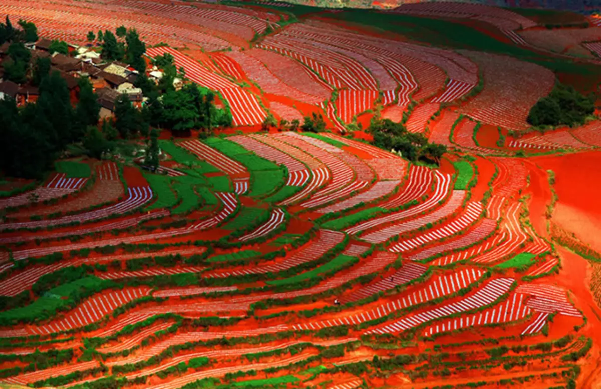 Fotos impresionantes de terras vermellas de Donchuan 10478_16