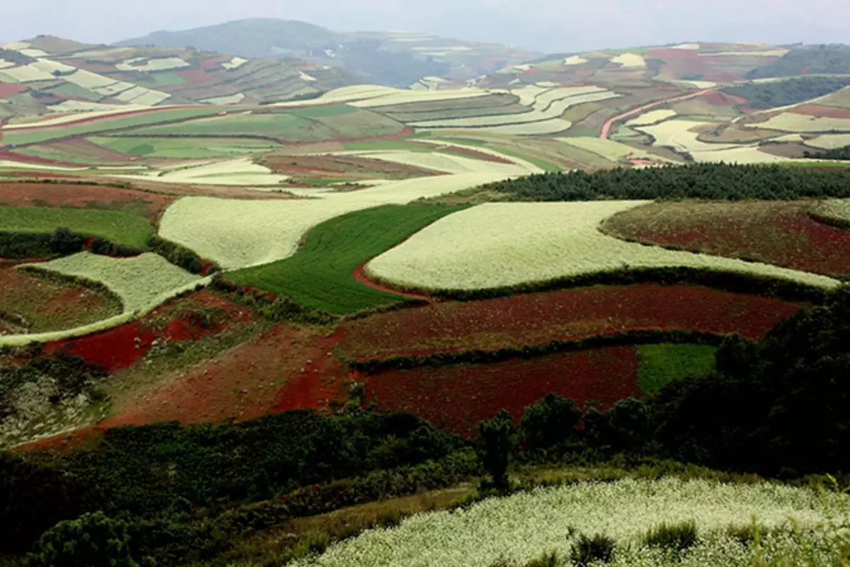 Fotos impresionantes de terras vermellas de Donchuan 10478_19