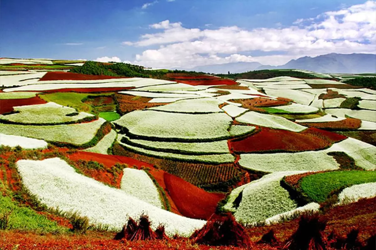 Fotos impresionantes de terras vermellas de Donchuan