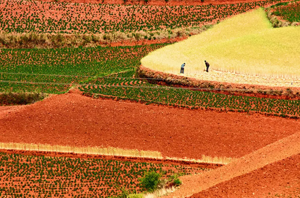 Fotos impresionantes de terras vermellas de Donchuan