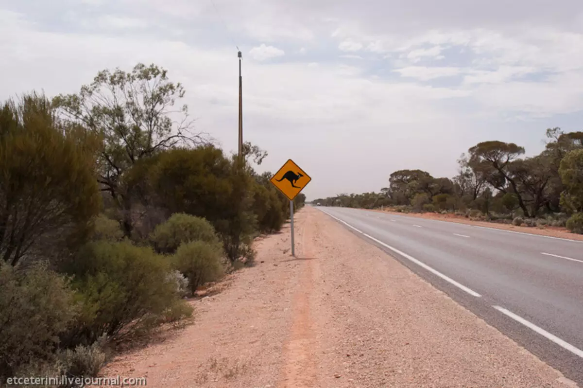 25 hechos avanzados sobre Australia 10494_2