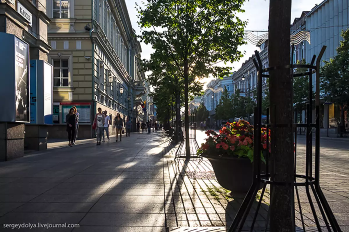 Gå gjennom Sunny Vilnius 10646_5