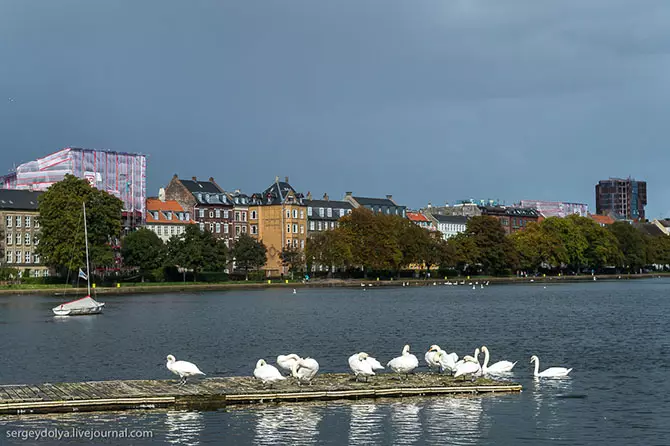 Kopenhagen bez sirena