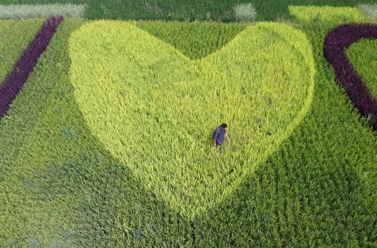 ಹಕ್ಕಿಗಳ ಕಣ್ಣಿನ ದೃಷ್ಟಿಯಿಂದ ಚೀನಾ 10753_9