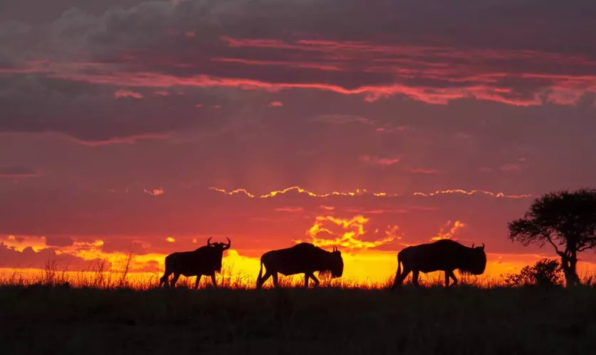 Waar te zoeken naar de mooiste zonsondergangen van de wereld 10777_2