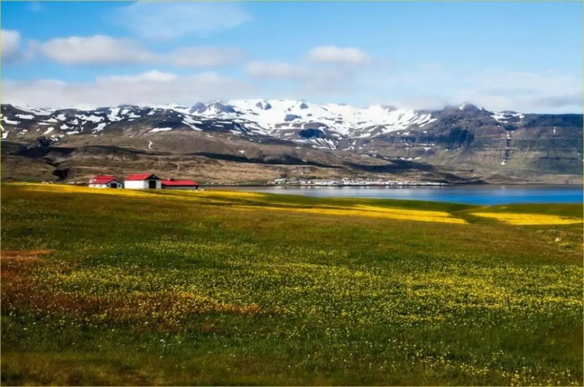 Onde se torna mais pintado com a chegada da primavera 10848_14