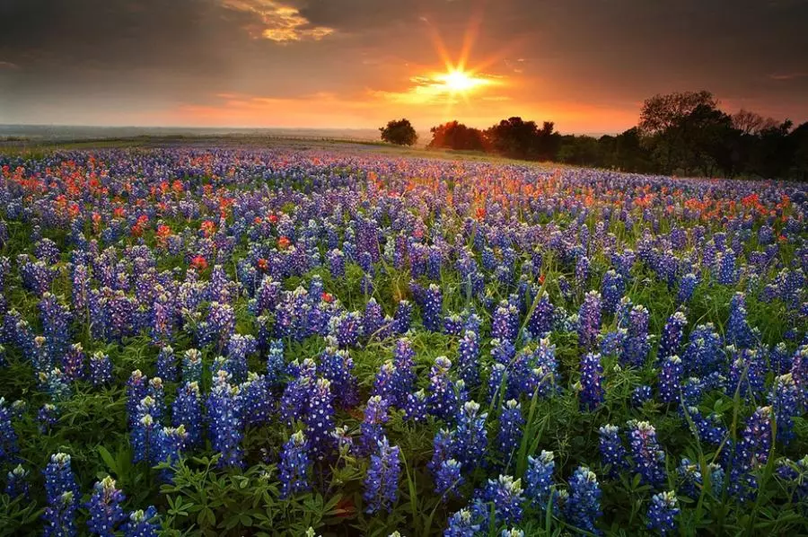 Onde se torna mais pintado com a chegada da primavera