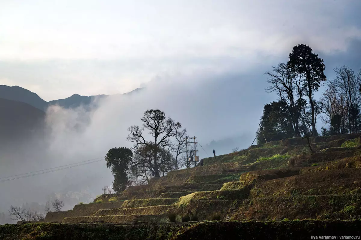 අලංකාර සහල් ටෙරස්