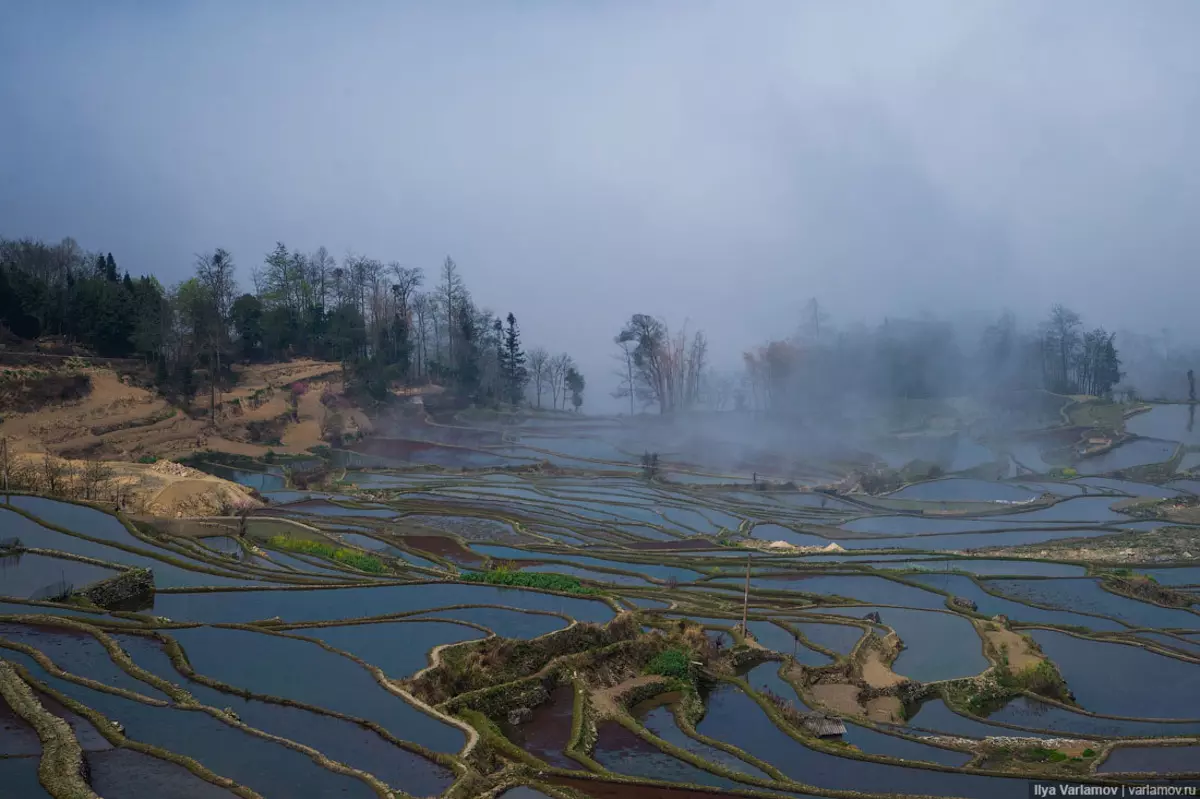 අලංකාර සහල් ටෙරස්