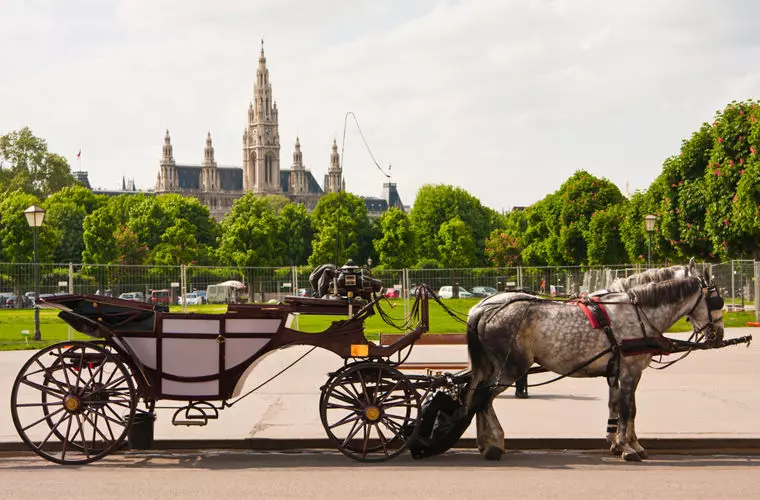 Mga tip alang sa mga turista nga nagpundok aron mobisita sa Vienna 10882_3